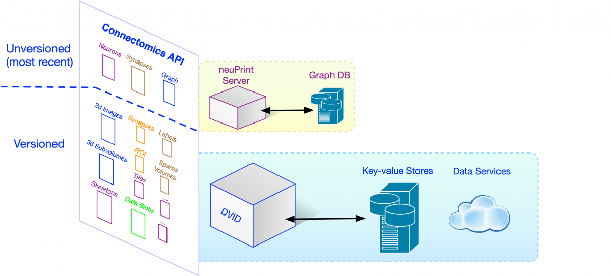 Data Management In Connectomics Janelia Research Campus